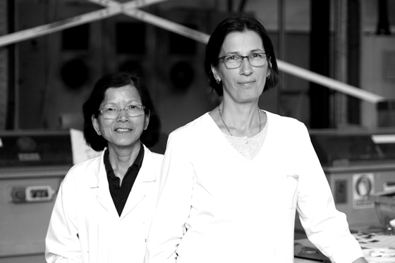 The Company - Keronite